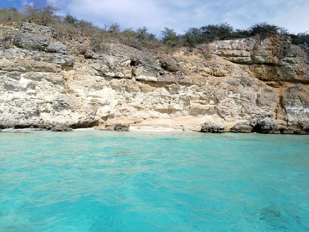 Sea Turtles & Blue Room Tour - Powerboat Caribbean